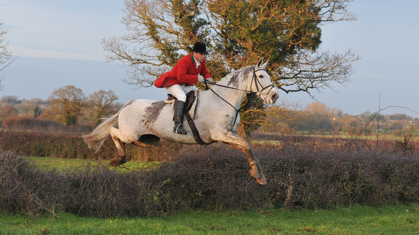 Robert Walker: ‘Hunting helps horses’ mindset and extends their careers’