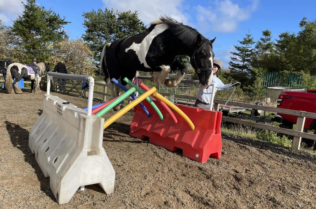 ‘He loves jumping!’ Alun the cob takes flight during groundwork clinic ...