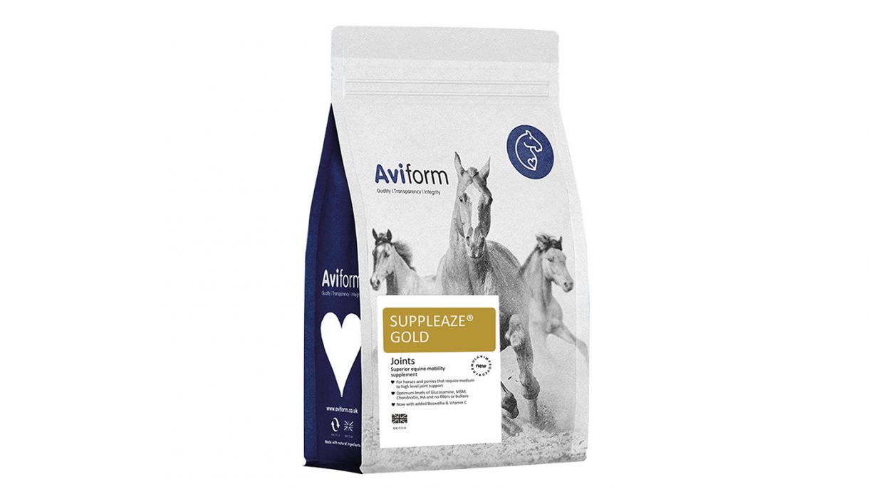 Best joint supplements for horses: what’s on the market?