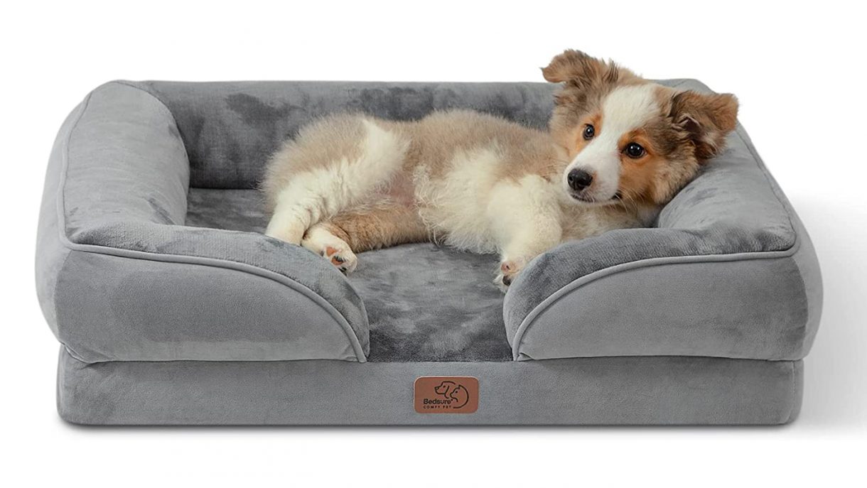 Best orthopaedic dog beds to provide rest and comfort for older dogs