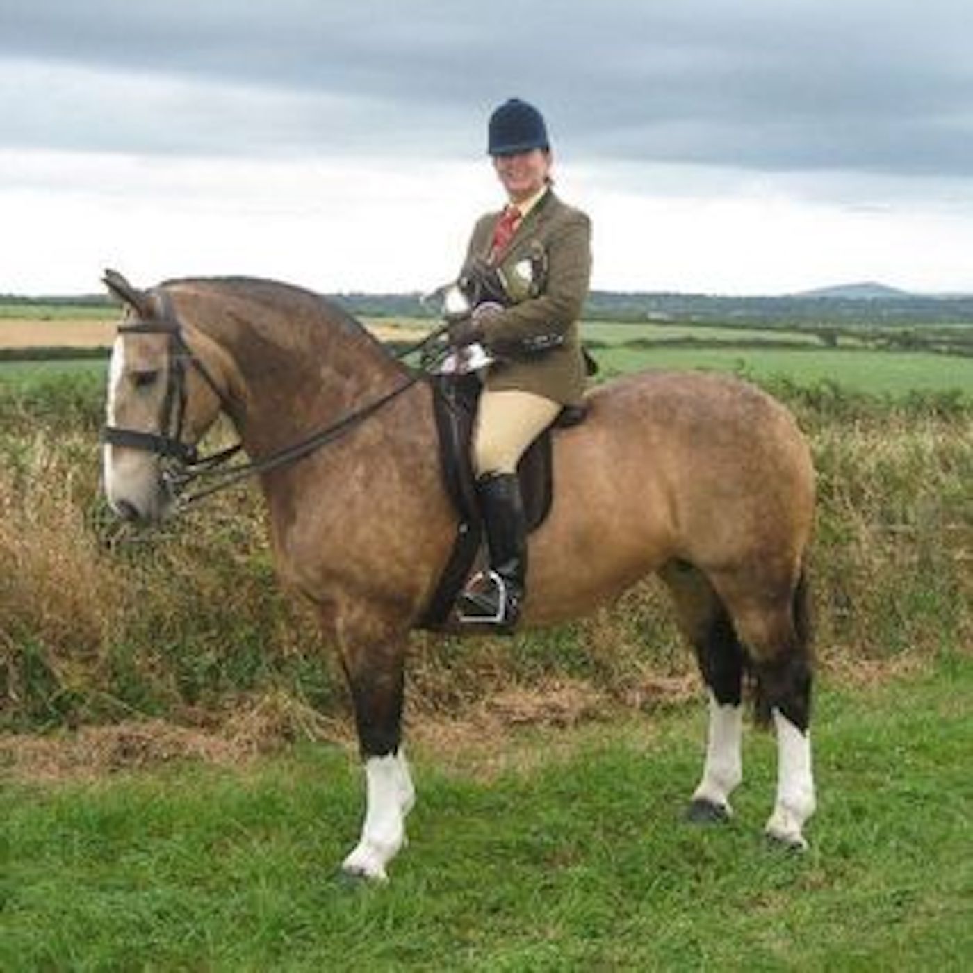 Owner pays tribute to Cappuccino: ‘the kindest horse to look through a ...