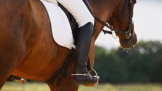 Best spurs for horse riders: gentle, precise and smart | Horse & Hound