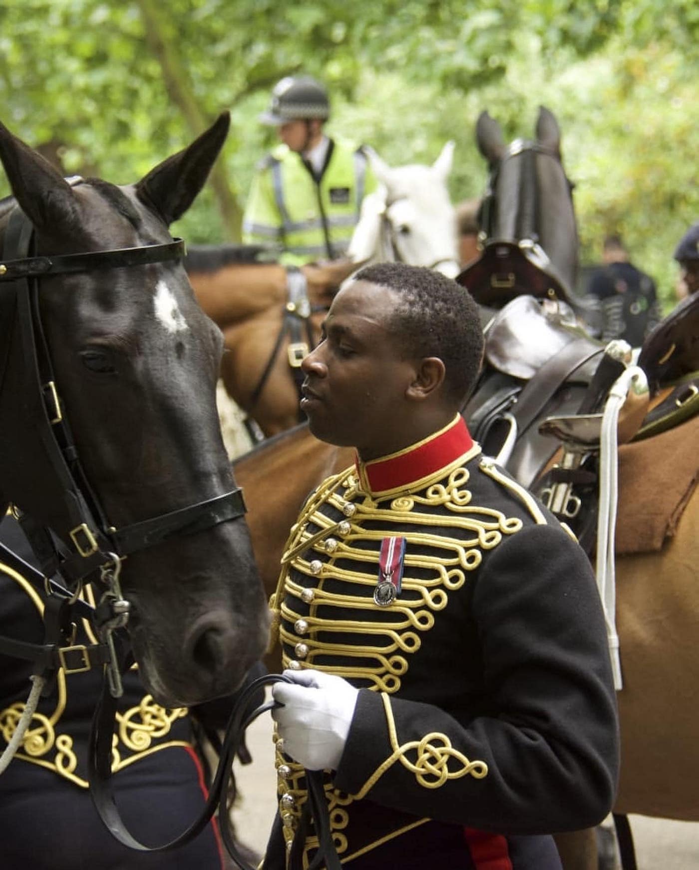 King’s Troop saddler among equestrians named in New Year Honours List ...