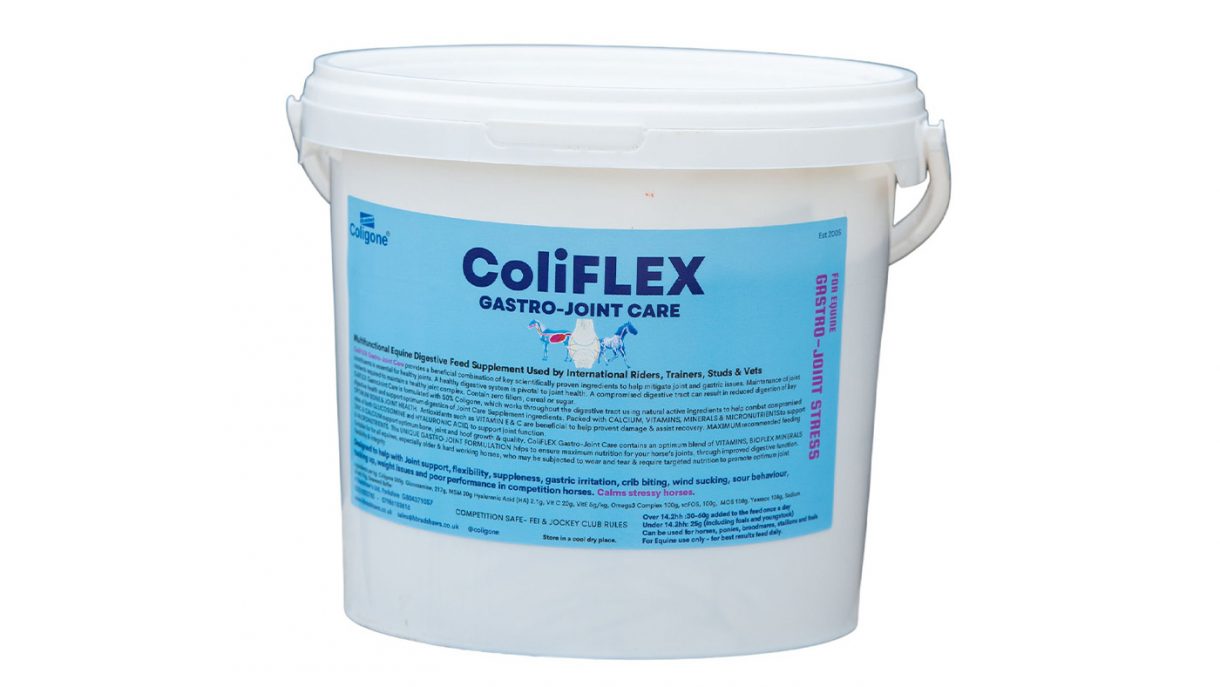 Best joint supplements for horses: what’s on the market?