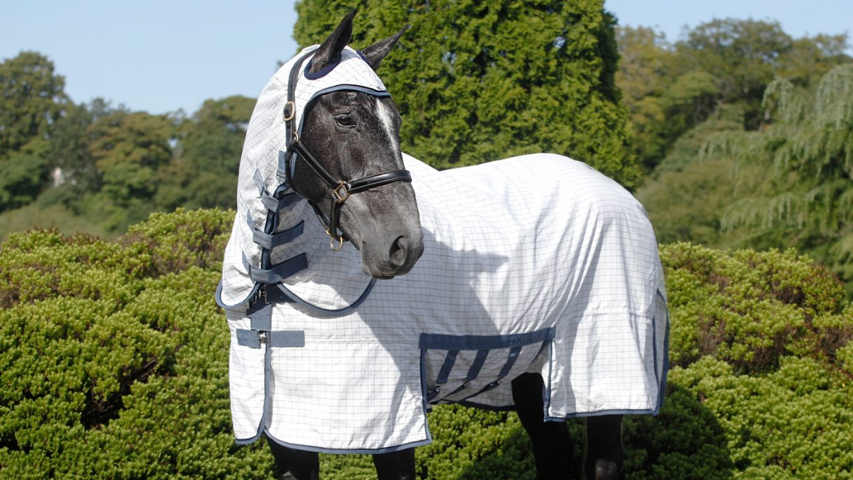 Best sweet itch rugs to help manage the condition | Horse & Hound