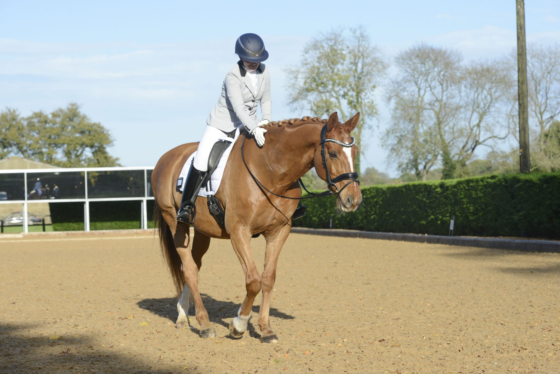 12 steps to creating your perfect 2021 - Horse & Hound