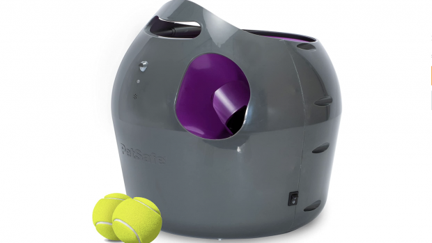 Best ball throwing machines for dogs do the hard work for you