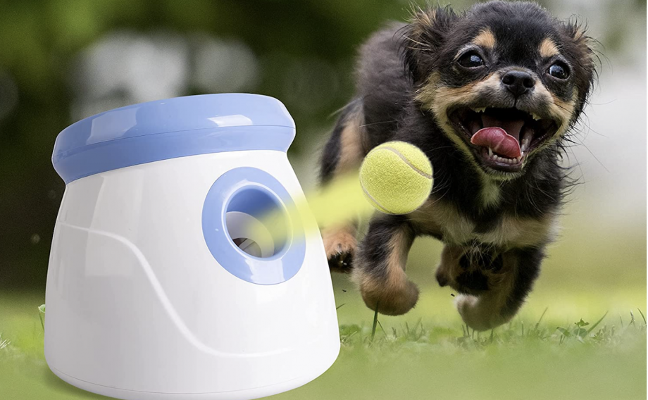 Best ball throwing machines for dogs do the hard work for you