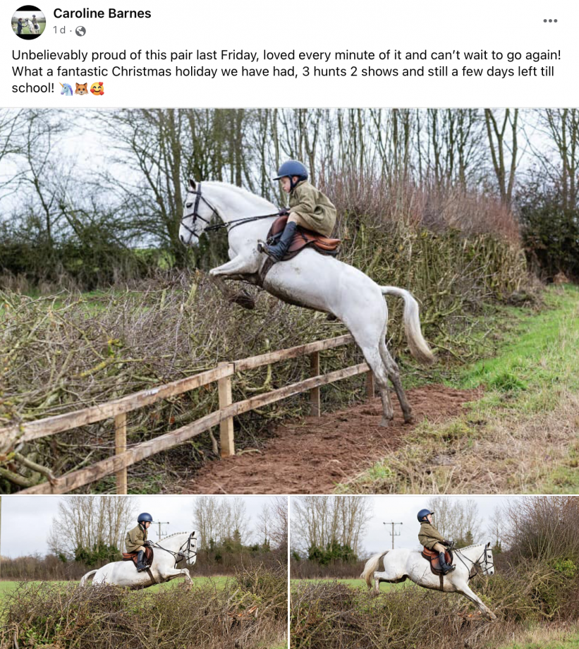 High-rise horses and stables with a view (prepare to be amazed) - Horse ...