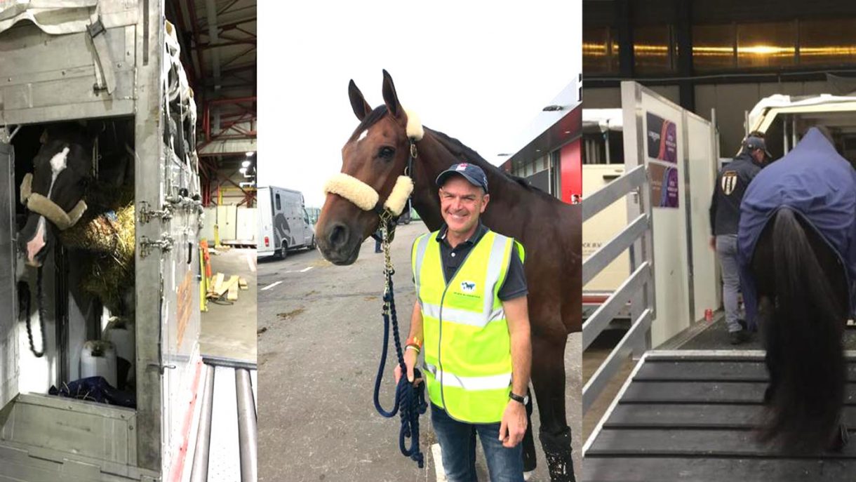 Alan Davies on flying horses around the world – and exactly how it works