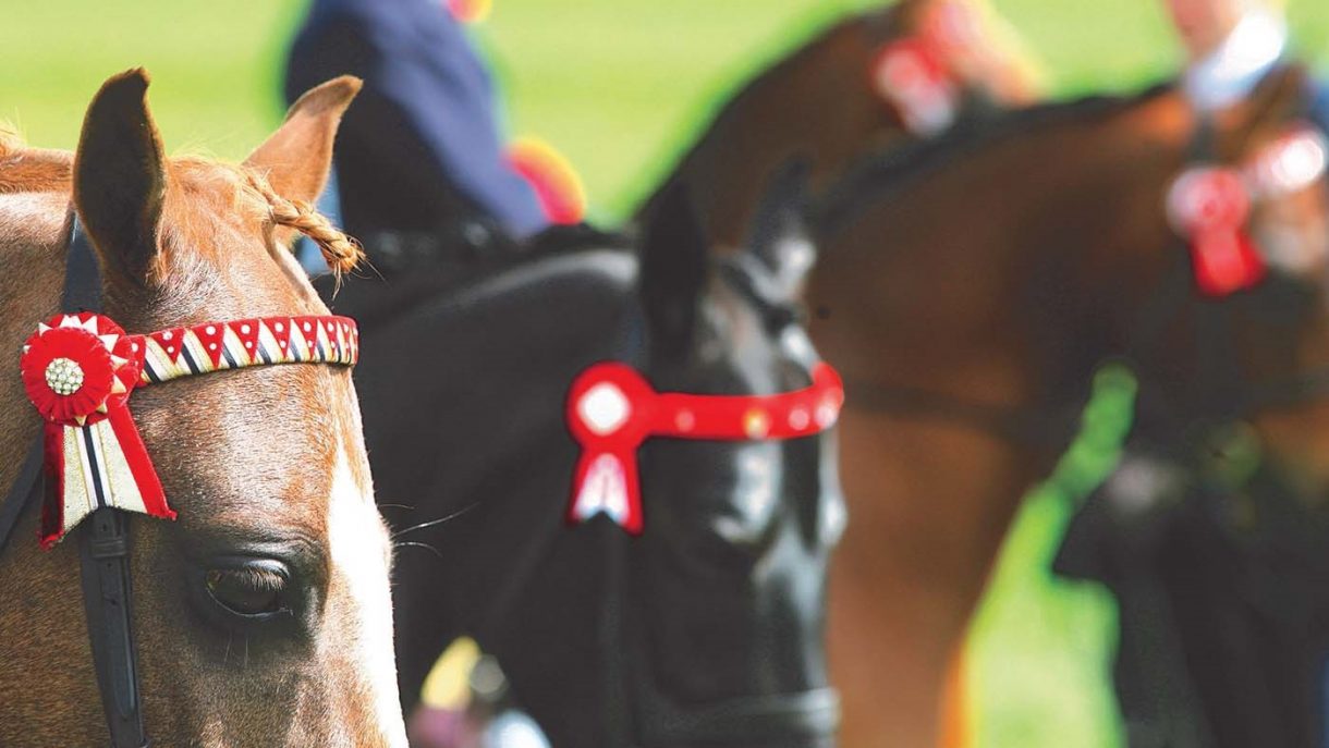 Two new showing classes for London International Horse Show 2026