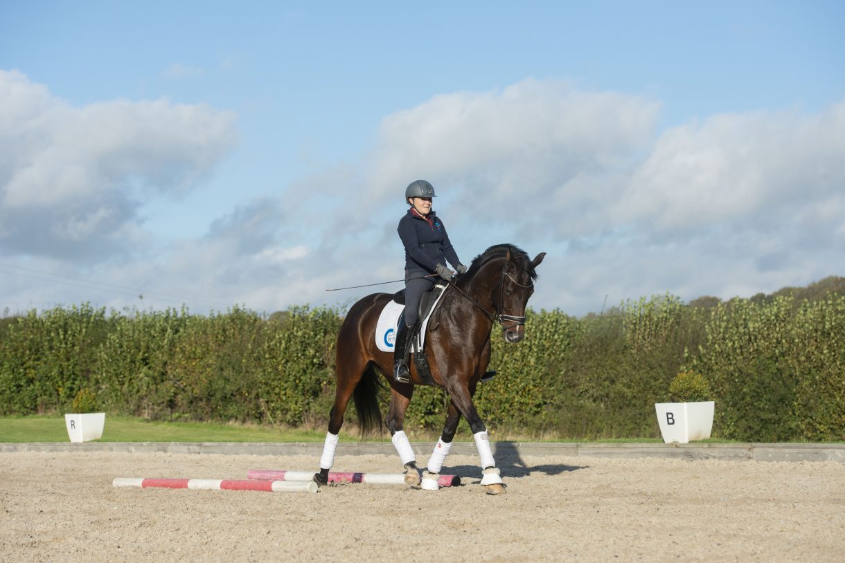 How to balance working full-time with horses, family and a social life