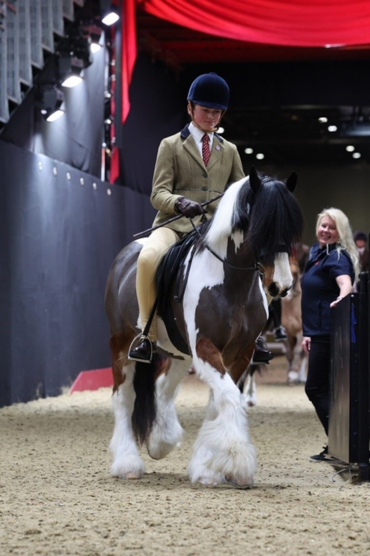 ‘One in a million’: rescued Spindles Farm yearling’s journey to showing ...