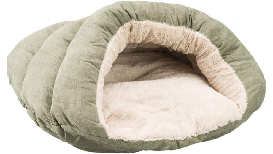 Best calming dog beds to soothe anxiety and provide a safe space