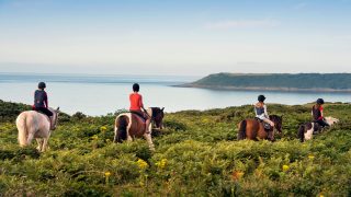 How to ride a horse (The essential basics you really need to know)