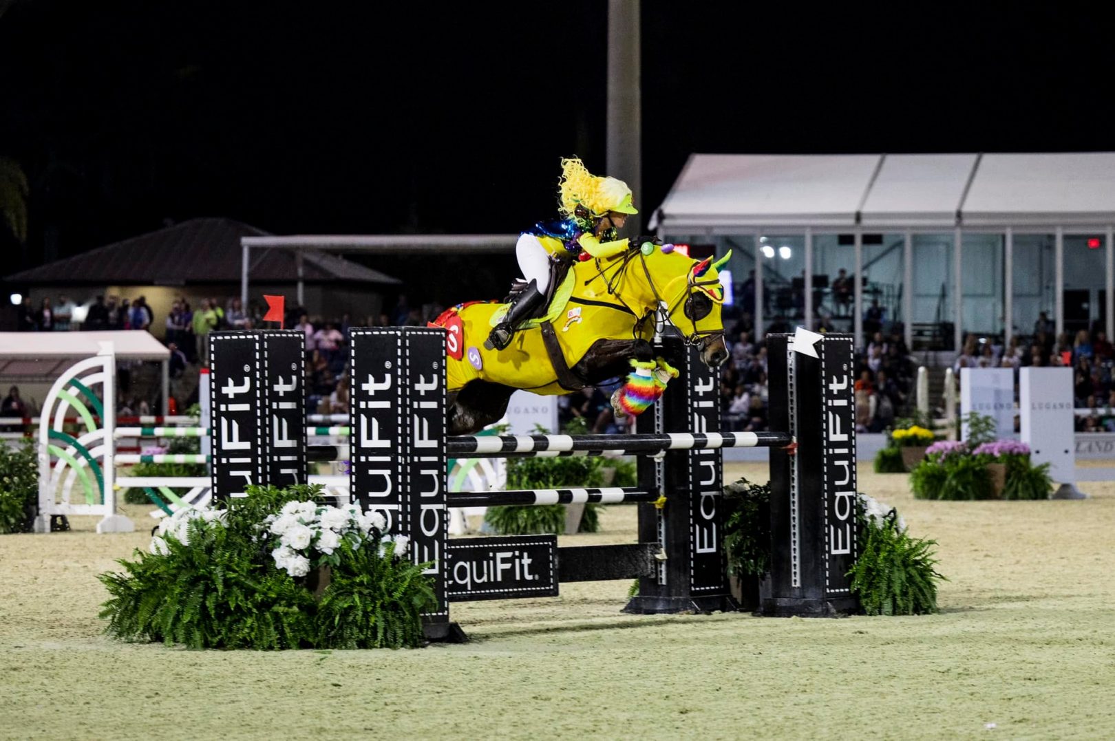 Grégory Cottard: meet this showjumper who uses very little tack