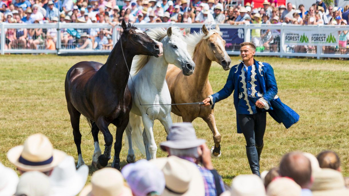 Horse liberty training: what it’s all about | Horse & Hound