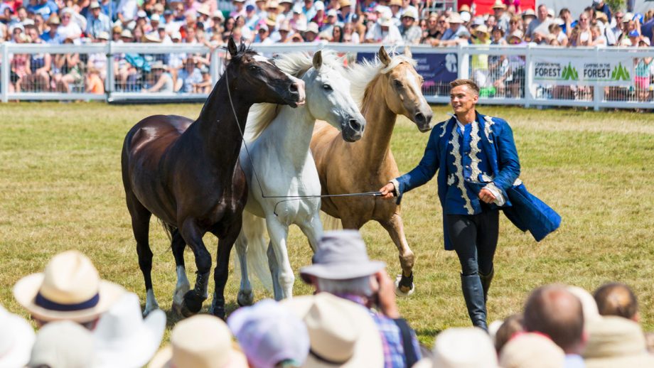 Horse liberty training: what it’s all about | Horse & Hound