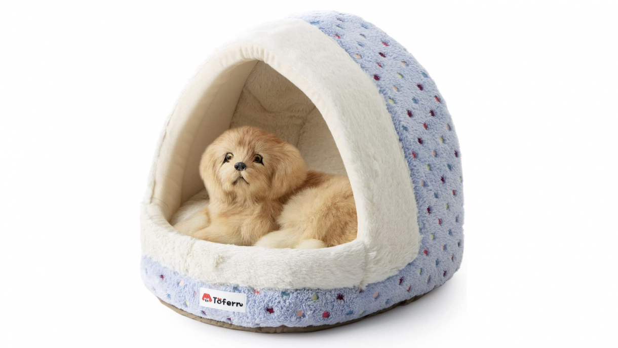 Best calming dog beds to soothe anxiety and provide a safe space