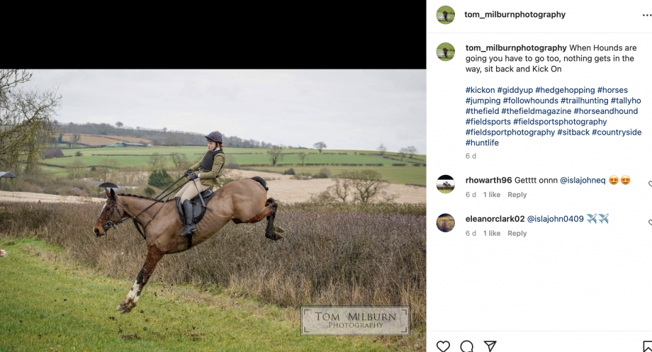 Watch one very happy horse tuck in and 7 other great bits of social ...