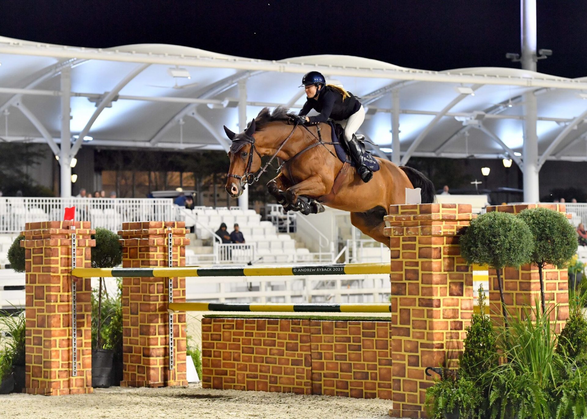 Grégory Cottard: meet this showjumper who uses very little tack