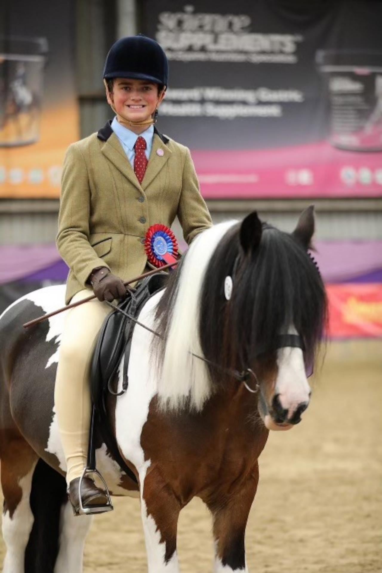 ‘One in a million’: rescued Spindles Farm yearling’s journey to showing ...