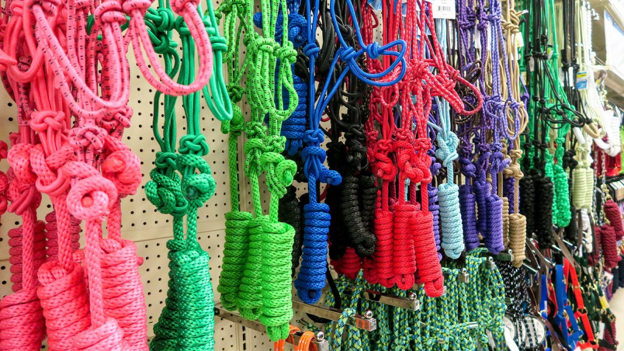 The Chifney bit: how to use it correctly | Horse & Hound