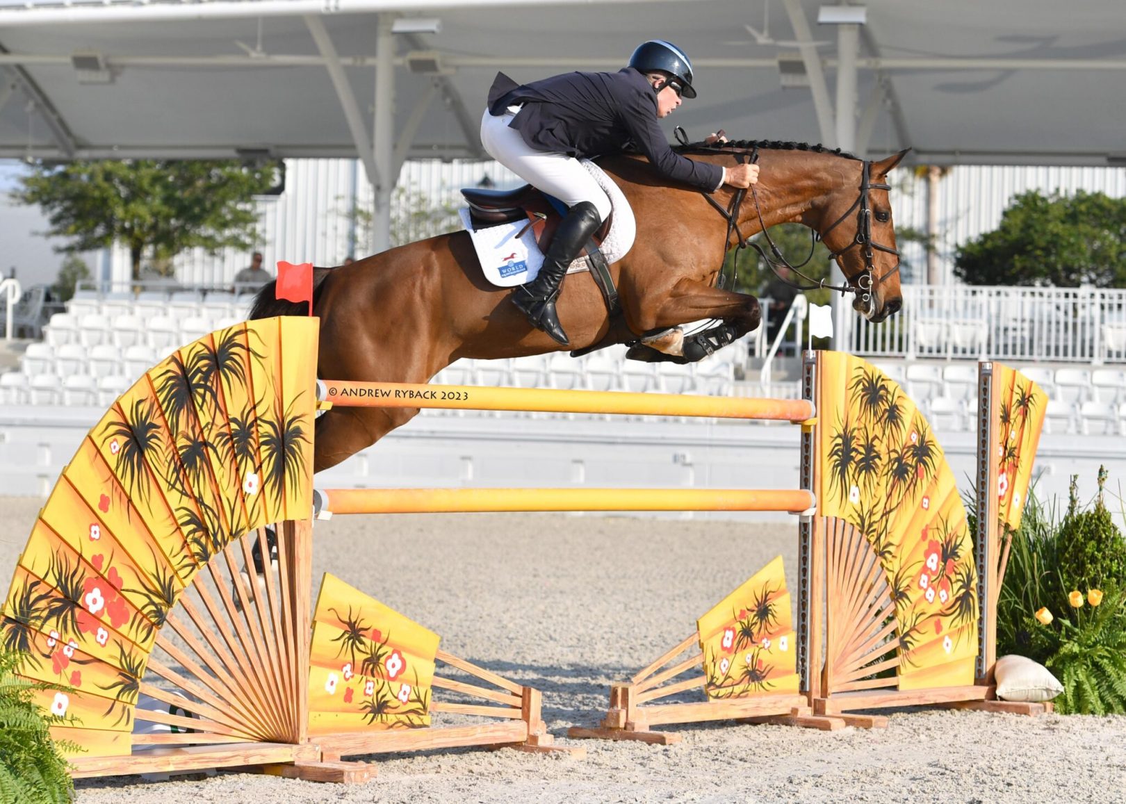 Showjumping news: Nations Cup victory and British five-star win