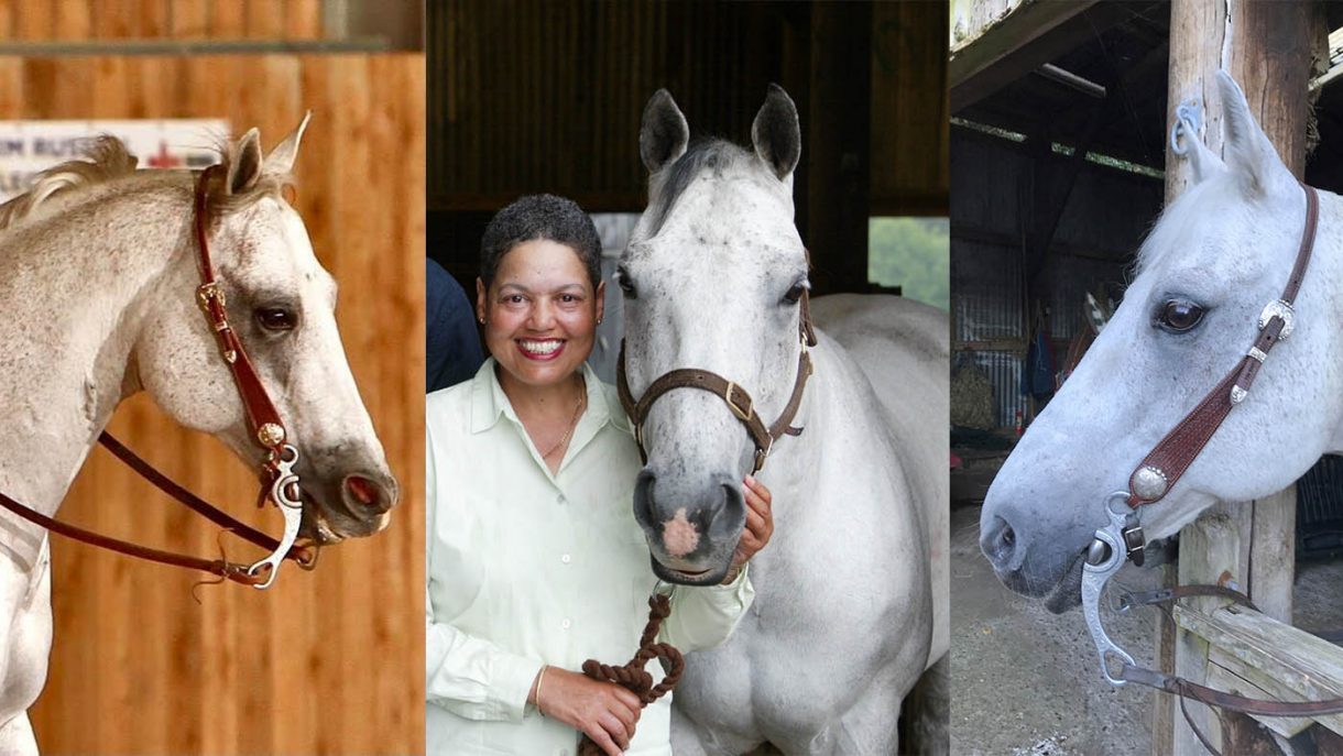‘Let your horse talk to you’: top teamwork gives 28-year-old horse ...