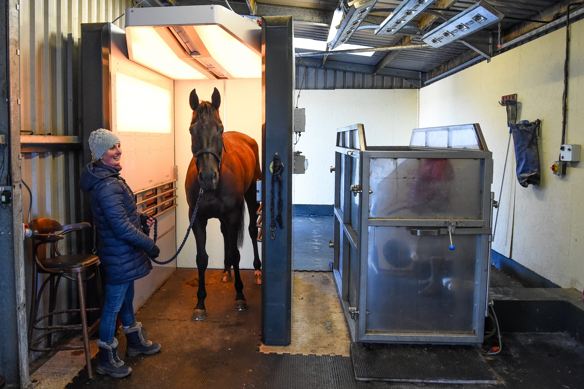 Equusir BEST-Box: Could this piece of kit revolutionise the horse world?