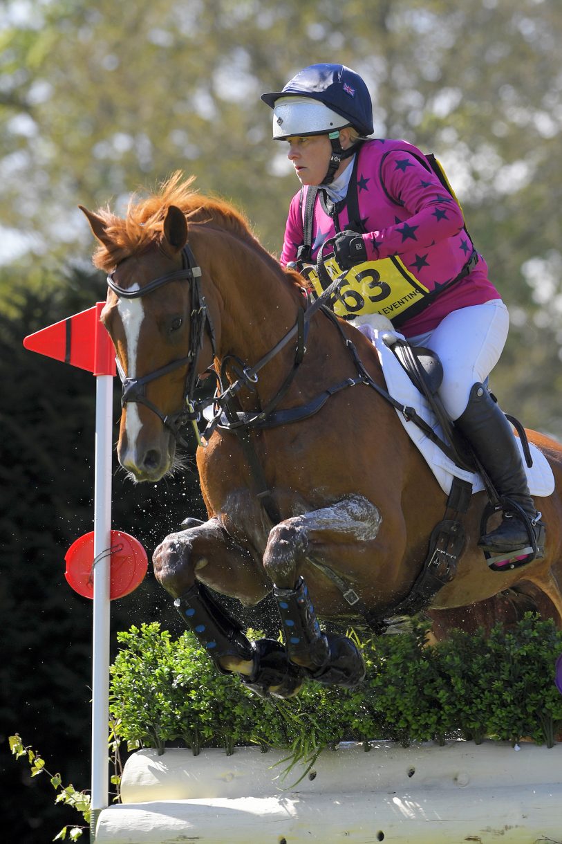 Mare who took amateur eventer to the top retires: ‘She owes me nothing ...