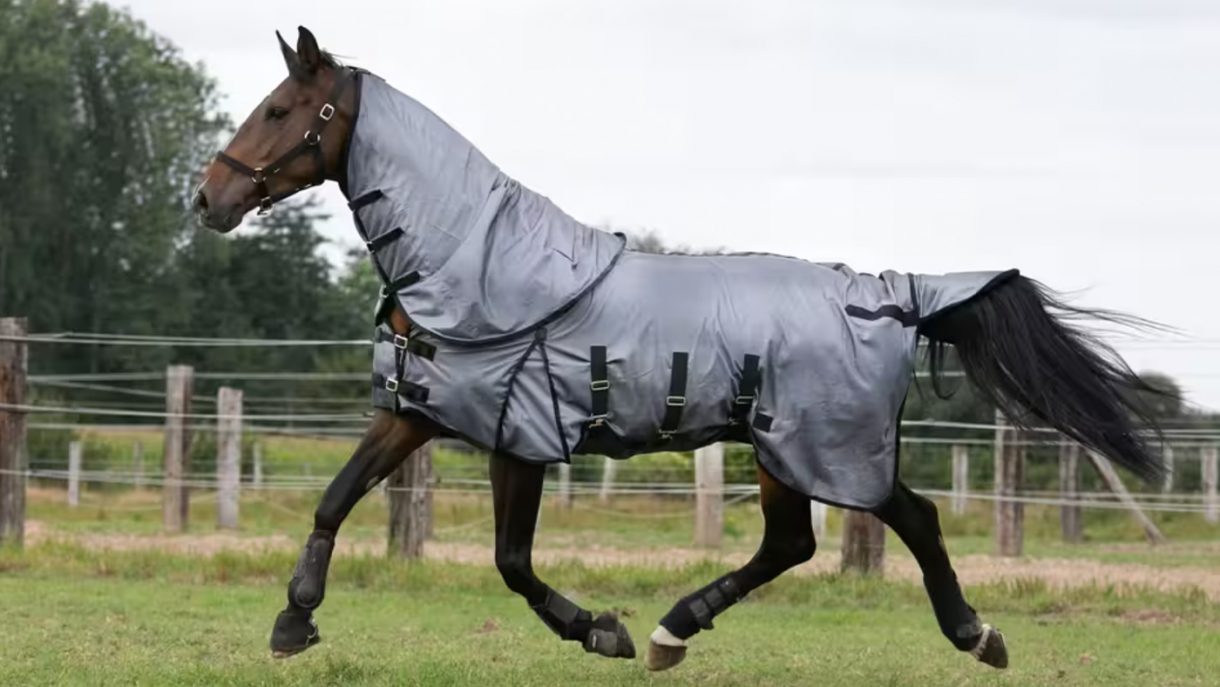Best fly rugs for horses: find the best protection | Horse & Hound