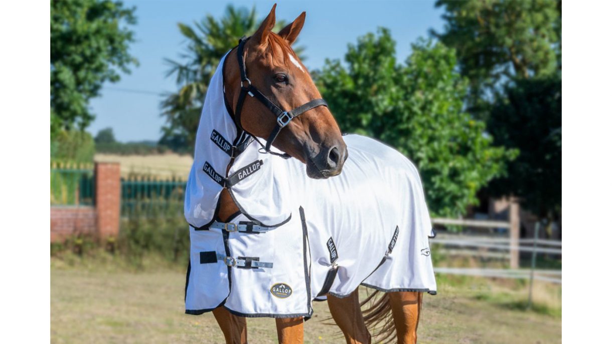 Best fly rugs for horses: find the best protection | Horse & Hound
