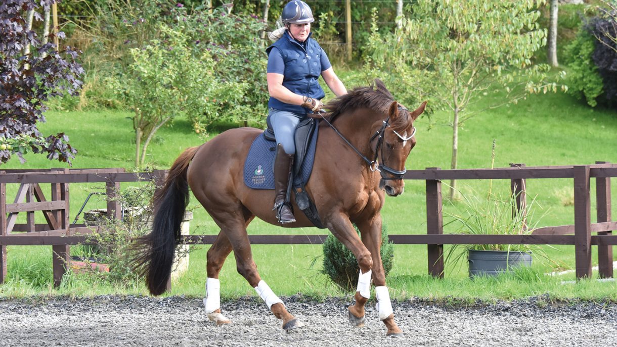 Former racehorse bought for £600 makes grand prix dressage debut ...