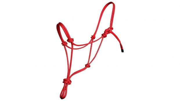 Best rope halters for better control and more precise aids | Horse & Hound