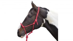 Best rope halters for better control and more precise aids | Horse & Hound