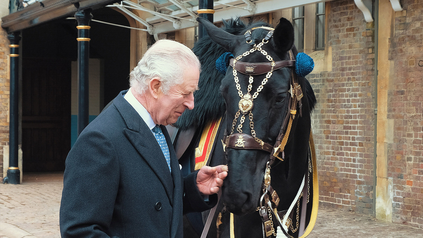 New ‘Noble’ steed for The King: a horse with links to his mother’s Burmese
