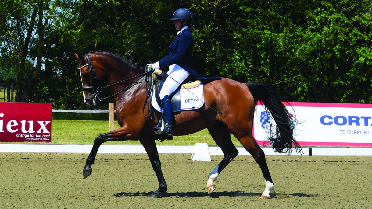 Calls for change after rider suffers serious injuries in trot-up ...