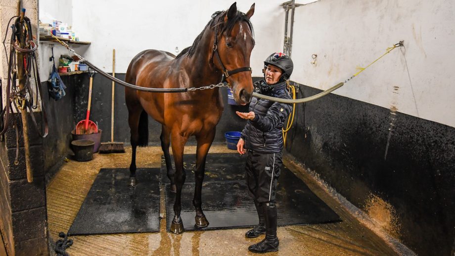 Laura Collett's yard: a day in the life of the Badminton winner