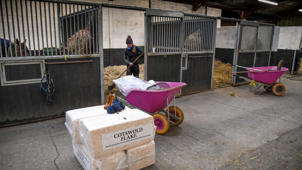 Laura Collett's yard: a day in the life of the Badminton winner