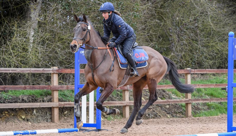 Laura Collett's yard: a day in the life of the Badminton winner