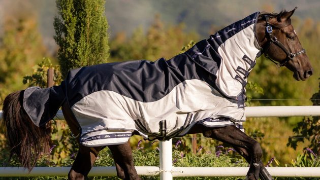 Best waterproof fly rugs for horses | Horse & Hound
