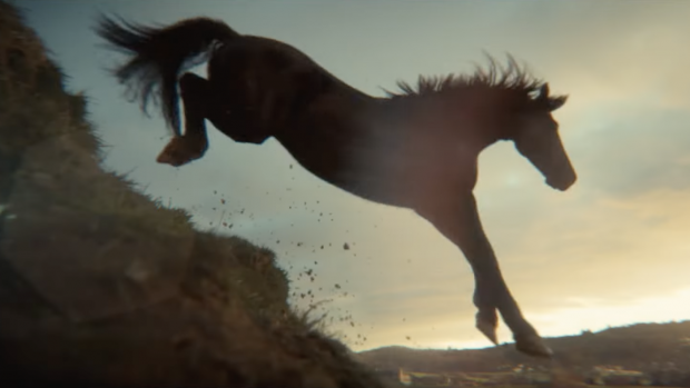 Girl on fire: stunning Lloyds Bank Friesians gallop through Surrey ...
