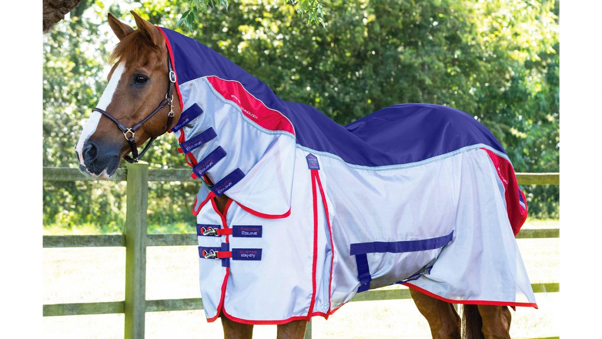 Best waterproof fly rugs for horses | Horse & Hound