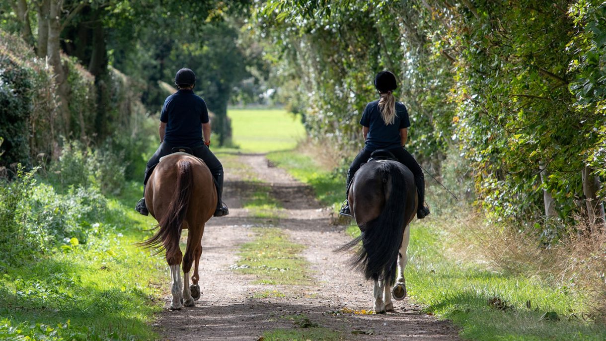 ‘I thought if one person like me could learn more about horses, that ...