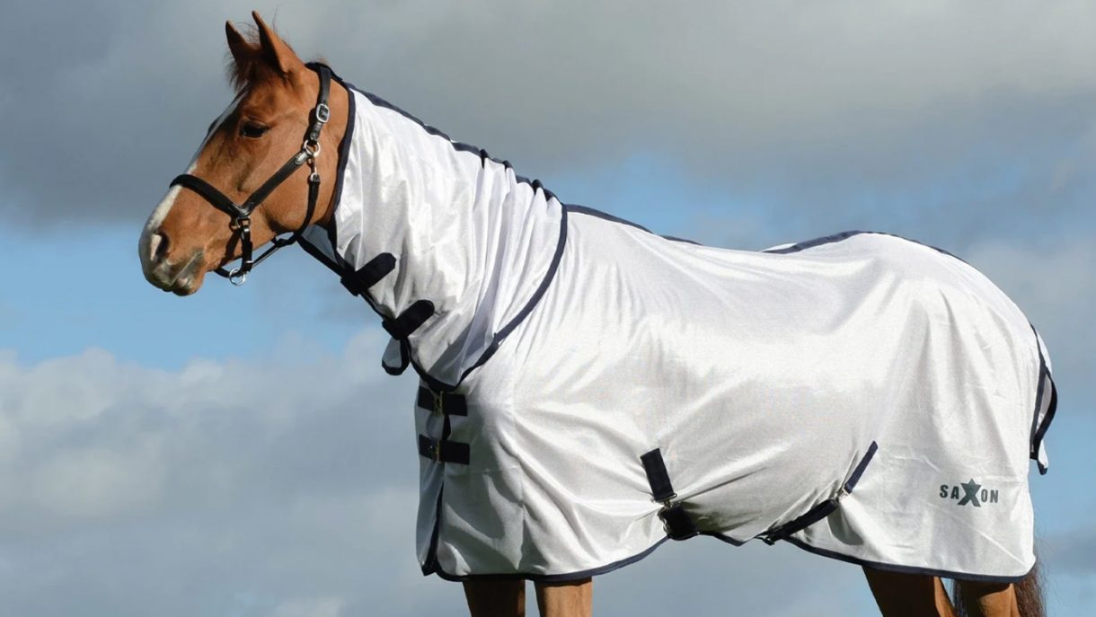 Best fly rugs for horses: find the best protection | Horse & Hound