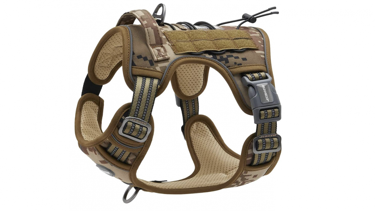 Best dog harnesses for comfort, safety and an anti-pulling solution