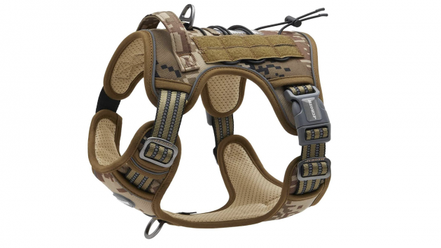Best dog harnesses for comfort, safety and an anti-pulling solution