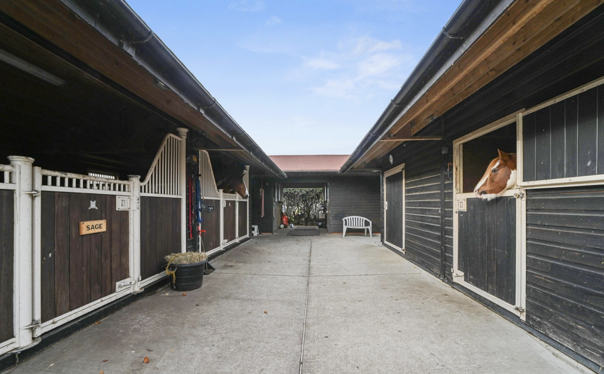 Check out this 5-bed farmhouse complete with stables on 14 acres in a ...