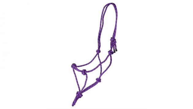 Best rope halters for better control and more precise aids | Horse & Hound